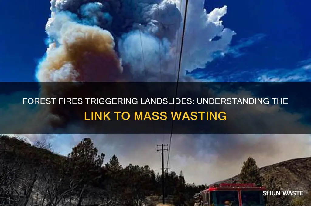 Forest Fires Triggering Landslides: Understanding The Link To Mass ...