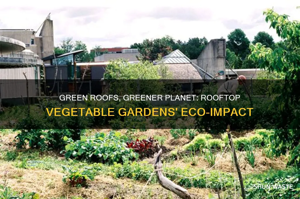 Green Roofs, Greener Planet: Rooftop Vegetable Gardens' Eco-Impact ...