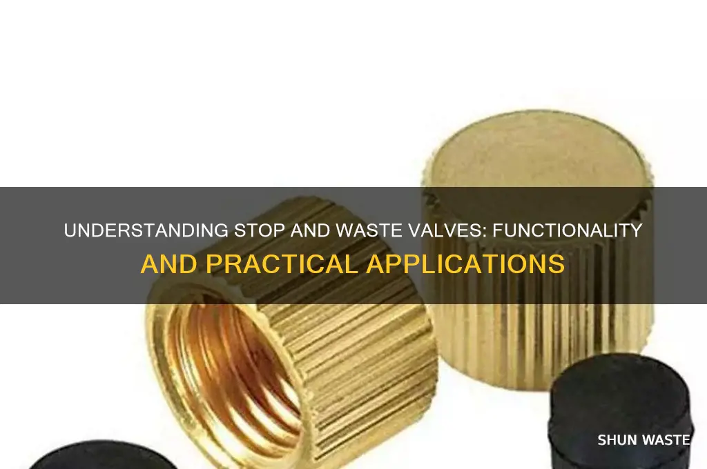 Understanding Stop And Waste Valves: Functionality And Practical ...