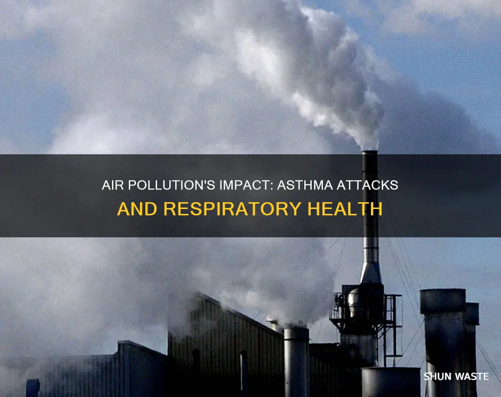Air Pollution's Impact: Asthma Attacks And Respiratory Health | ShunWaste