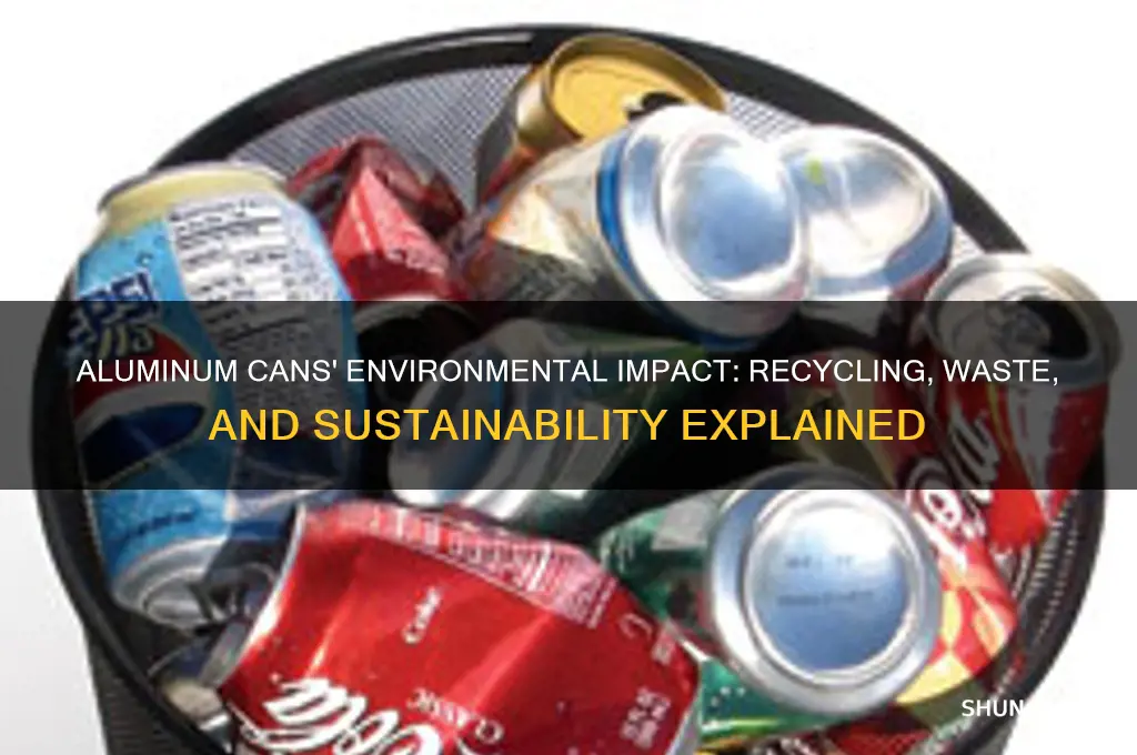 Aluminum Cans' Environmental Impact: Recycling, Waste, And ...