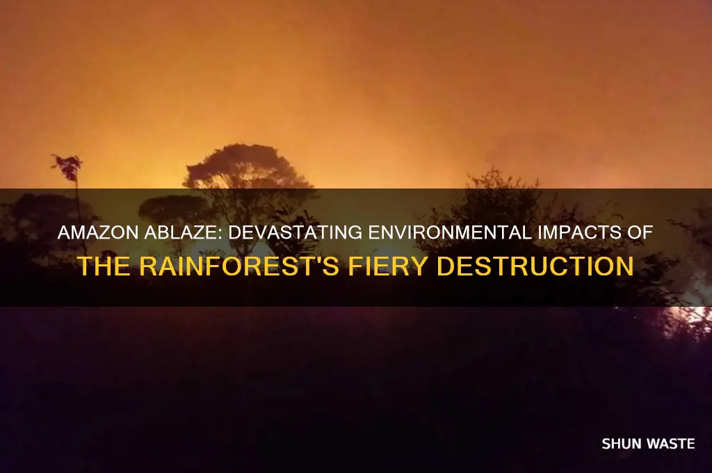 Amazon Ablaze: Devastating Environmental Impacts Of The Rainforest's ...