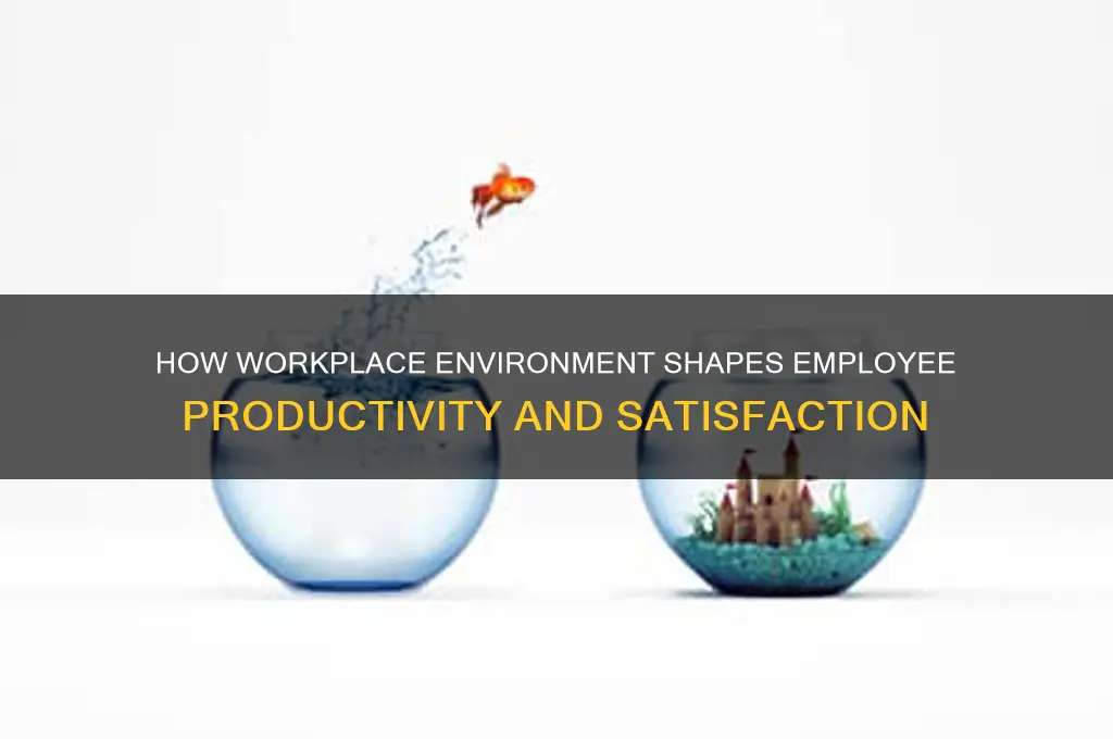 How Workplace Environment Shapes Employee Productivity And Satisfaction ...
