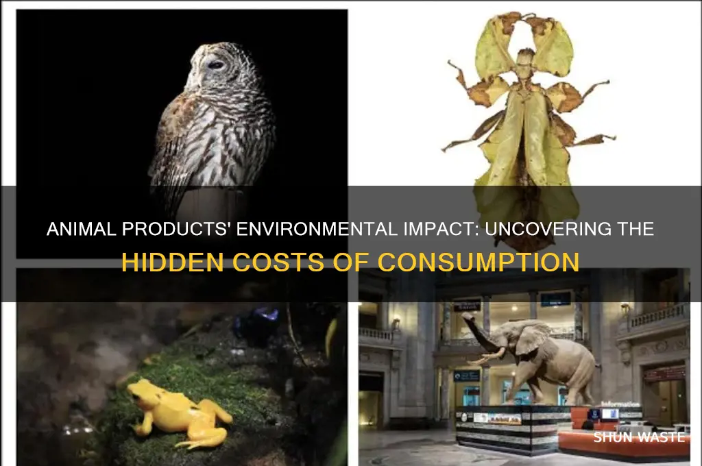 Animal Products' Environmental Impact: Uncovering The Hidden Costs Of ...