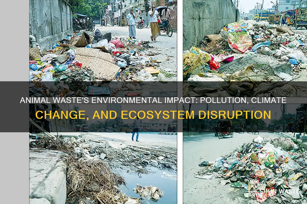 Animal Waste's Environmental Impact: Pollution, Climate Change, And ...