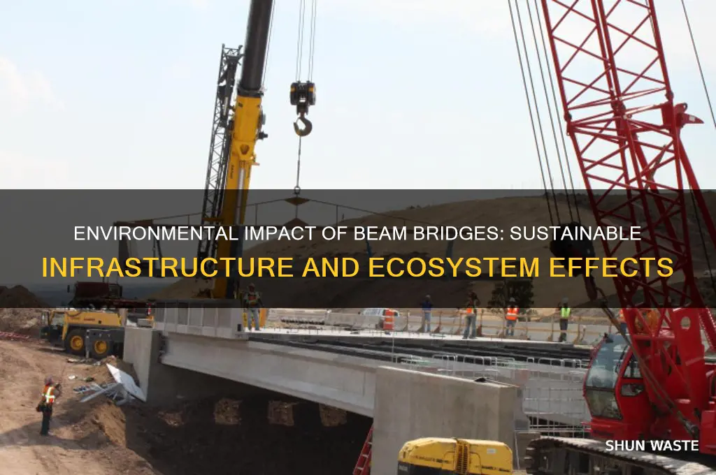 Environmental Impact Of Beam Bridges: Sustainable Infrastructure And ...
