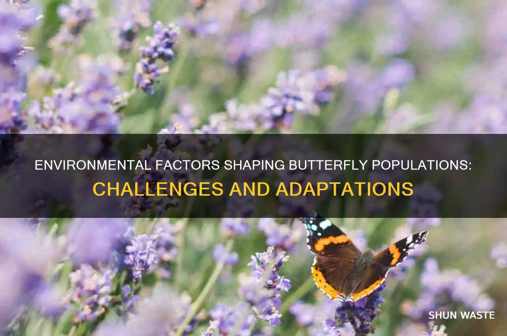 Environmental Factors Shaping Butterfly Populations: Challenges And ...