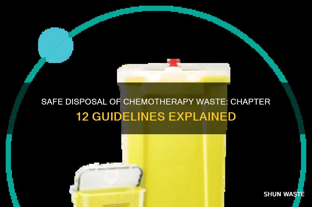 Safe Disposal Of Chemotherapy Waste: Chapter 12 Guidelines Explained ...