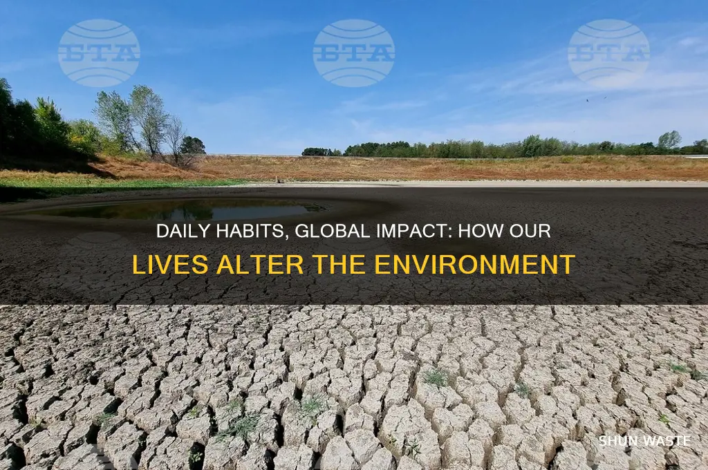 Daily Habits, Global Impact: How Our Lives Alter The Environment ...