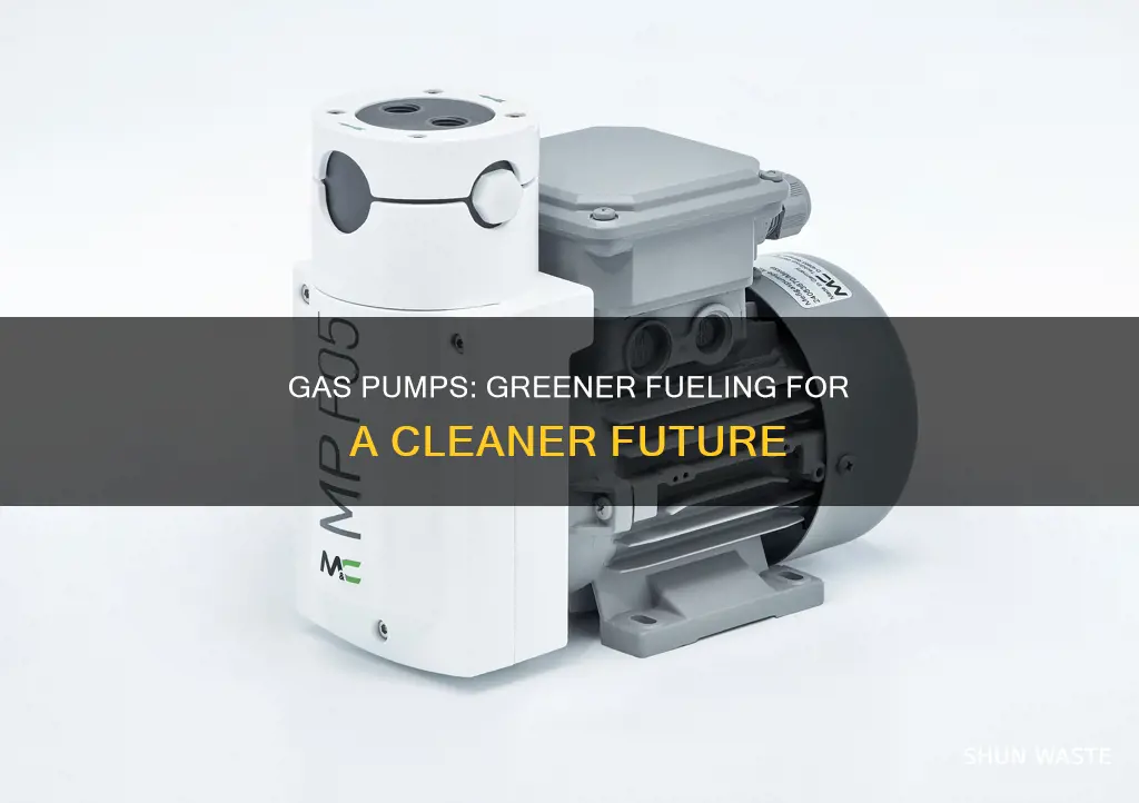 Gas Pumps: Greener Fueling For A Cleaner Future | ShunWaste