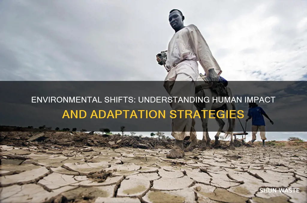 Environmental Shifts: Understanding Human Impact And Adaptation ...