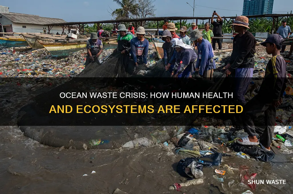 Ocean Waste Crisis: How Human Health And Ecosystems Are Affected ...