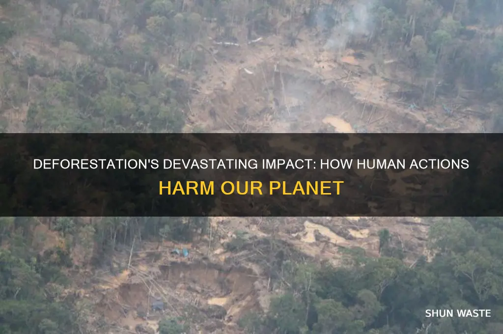 Deforestation's Devastating Impact: How Human Actions Harm Our Planet ...