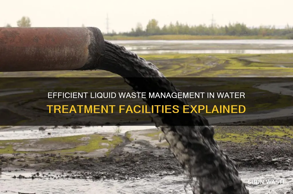 Efficient Liquid Waste Management In Water Treatment Facilities ...
