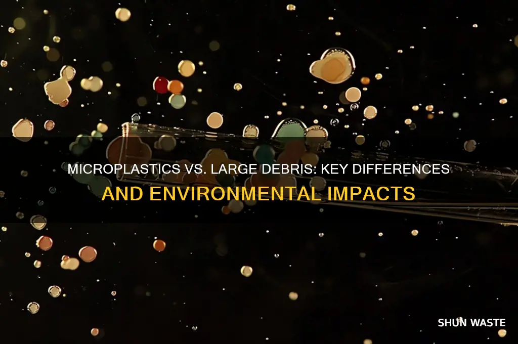 Microplastics Vs. Large Debris: Key Differences And Environmental ...