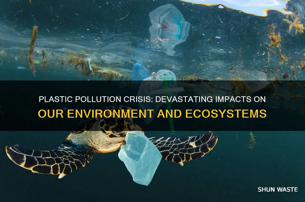 Plastic Pollution Crisis: Devastating Impacts On Our Environment And ...