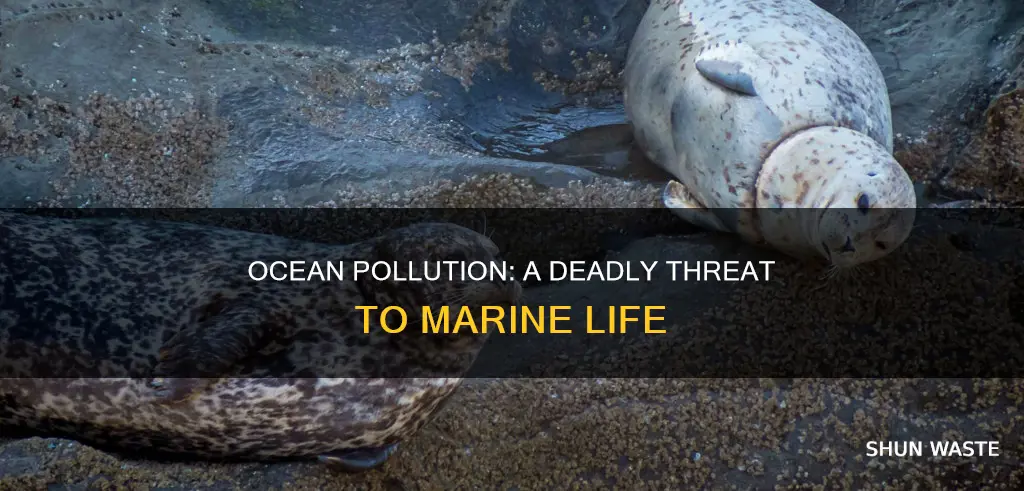 Ocean Pollution: A Deadly Threat To Marine Life | ShunWaste