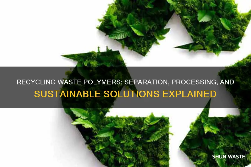Recycling Waste Polymers: Separation, Processing, And Sustainable ...