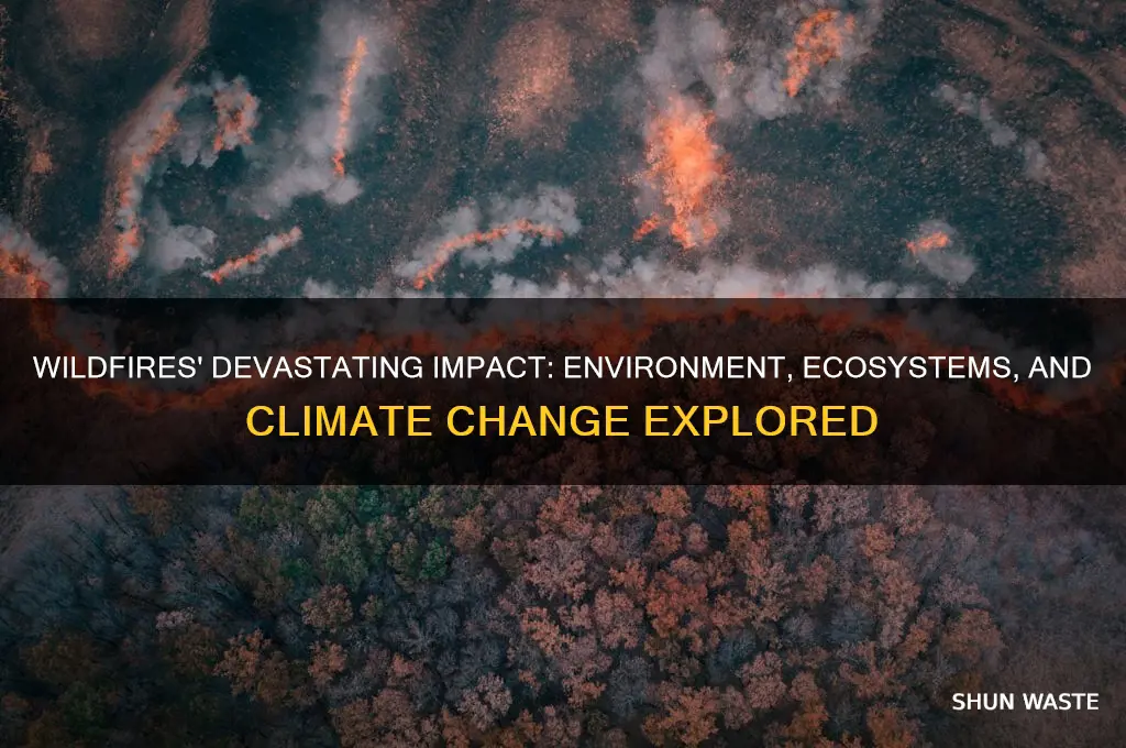 Wildfires' Devastating Impact: Environment, Ecosystems, And Climate ...