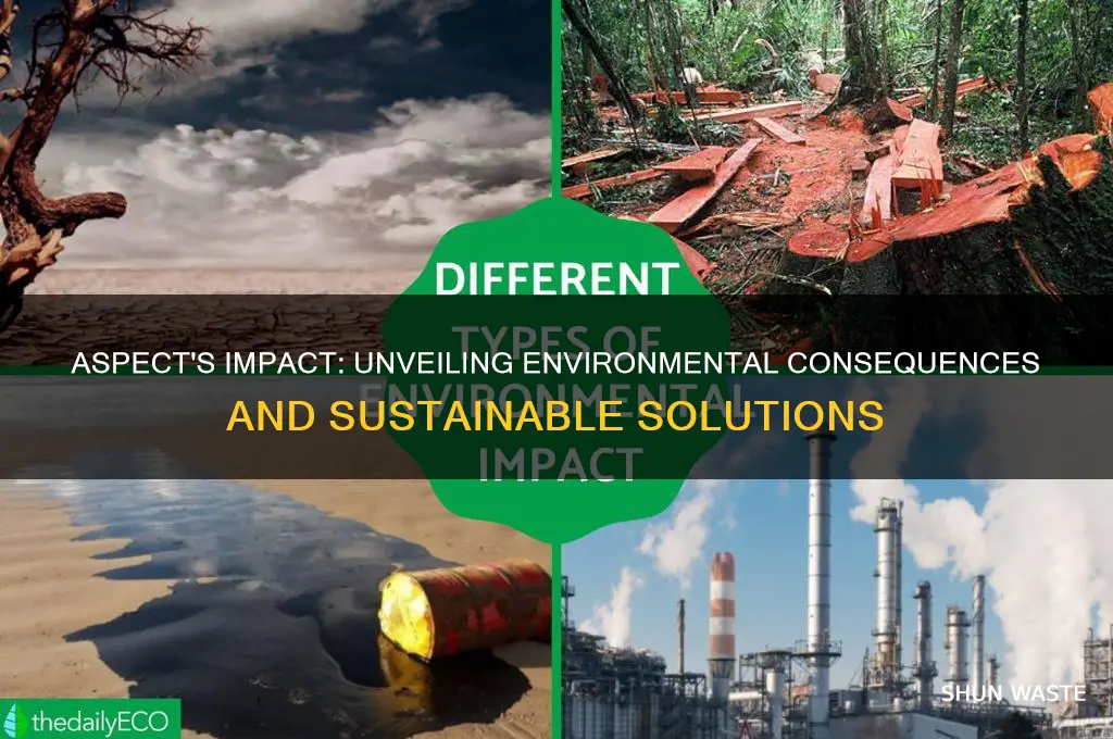 Aspect's Impact: Unveiling Environmental Consequences And Sustainable ...