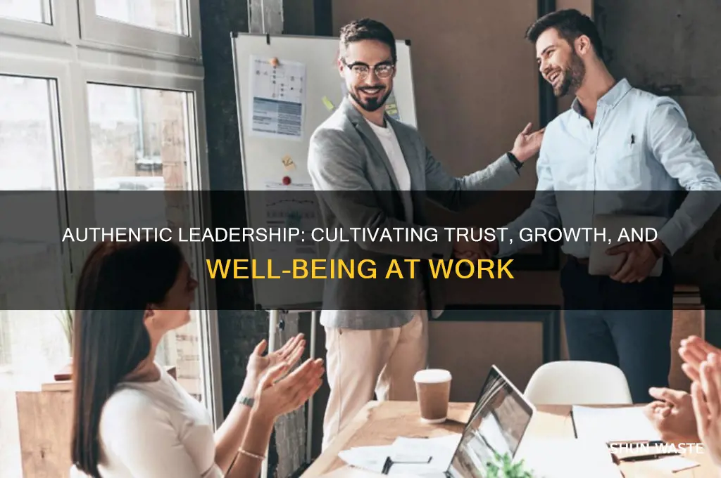 Authentic Leadership: Cultivating Trust, Growth, And Well-Being At Work ...