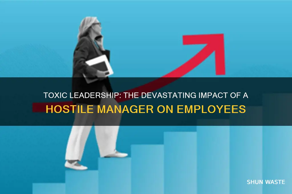 Toxic Leadership: The Devastating Impact Of A Hostile Manager On ...