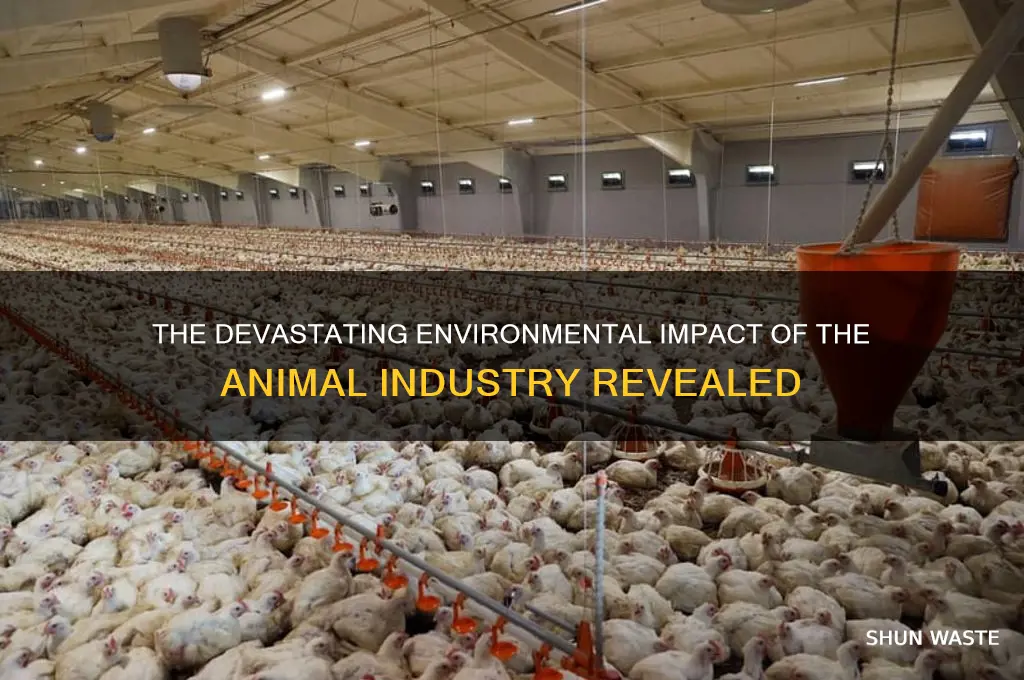 The Devastating Environmental Impact Of The Animal Industry Revealed ...