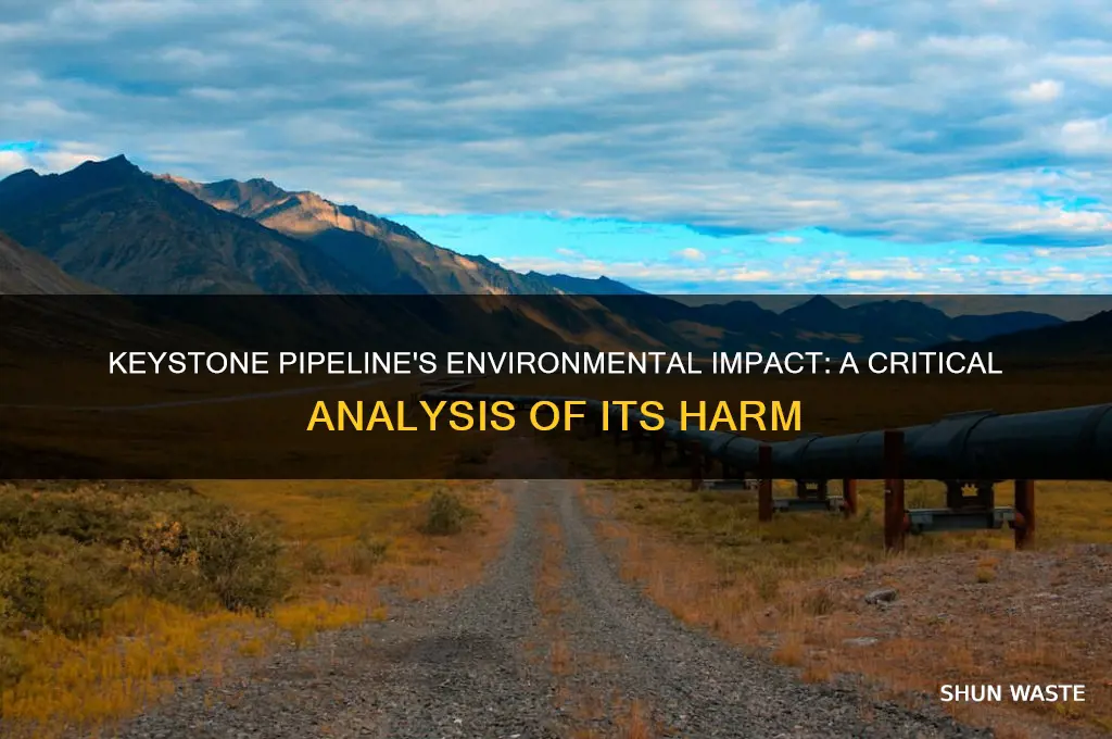 Keystone Pipeline's Environmental Impact: A Critical Analysis Of Its ...