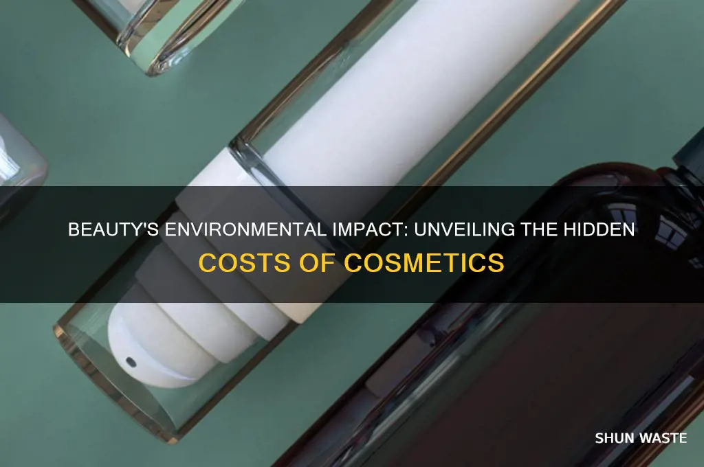 Beauty's Environmental Impact: Unveiling The Hidden Costs Of Cosmetics ...