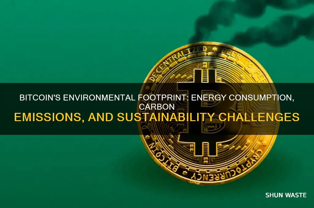 Bitcoin's Environmental Footprint: Energy Consumption, Carbon Emissions ...