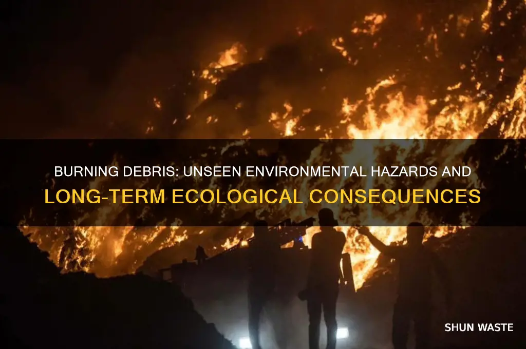 Burning Debris: Unseen Environmental Hazards And Long-Term Ecological ...