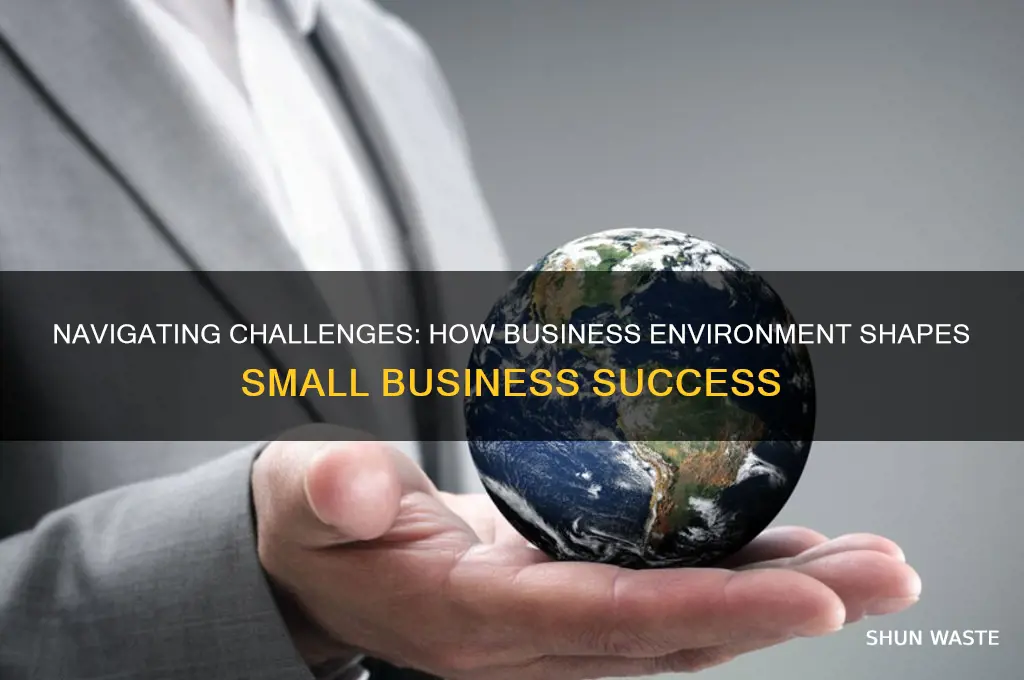 Navigating Challenges: How Business Environment Shapes Small Business ...