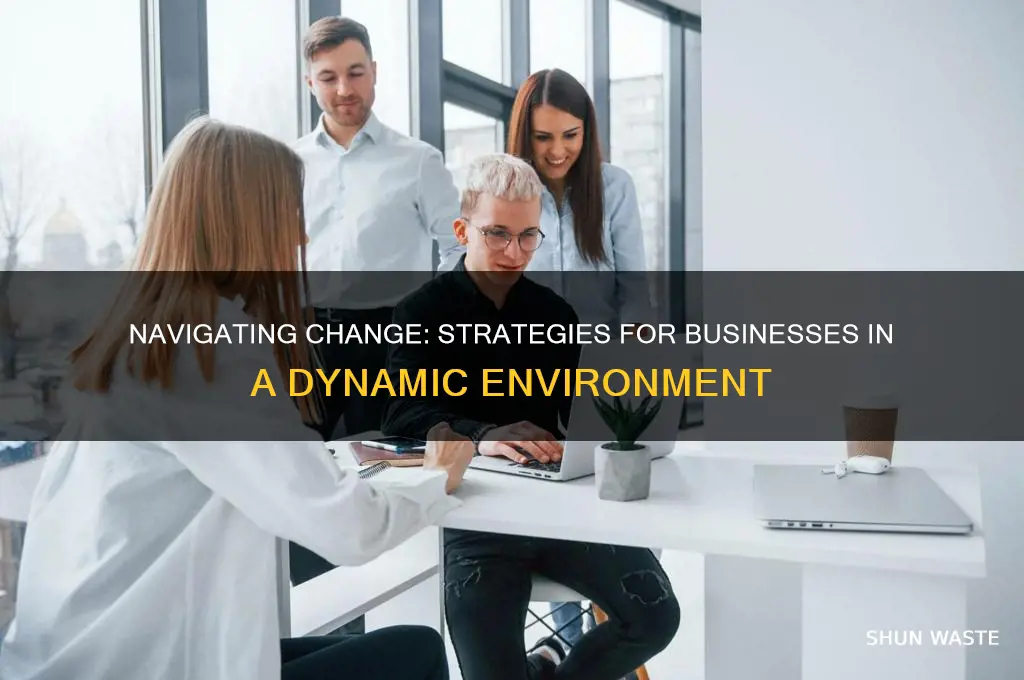 Navigating Change: Strategies For Businesses In A Dynamic Environment ...