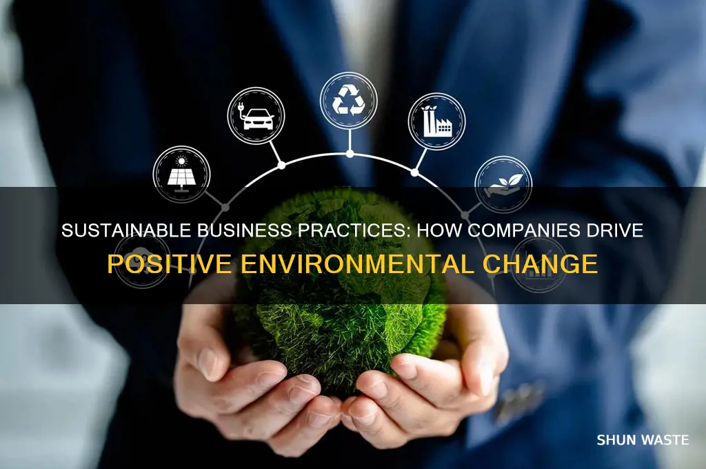 Sustainable Business Practices: How Companies Drive Positive ...