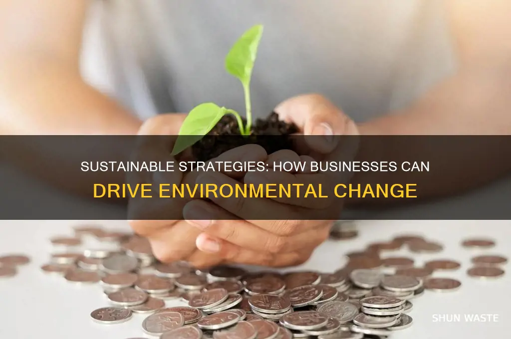 Sustainable Strategies: How Businesses Can Drive Environmental Change ...