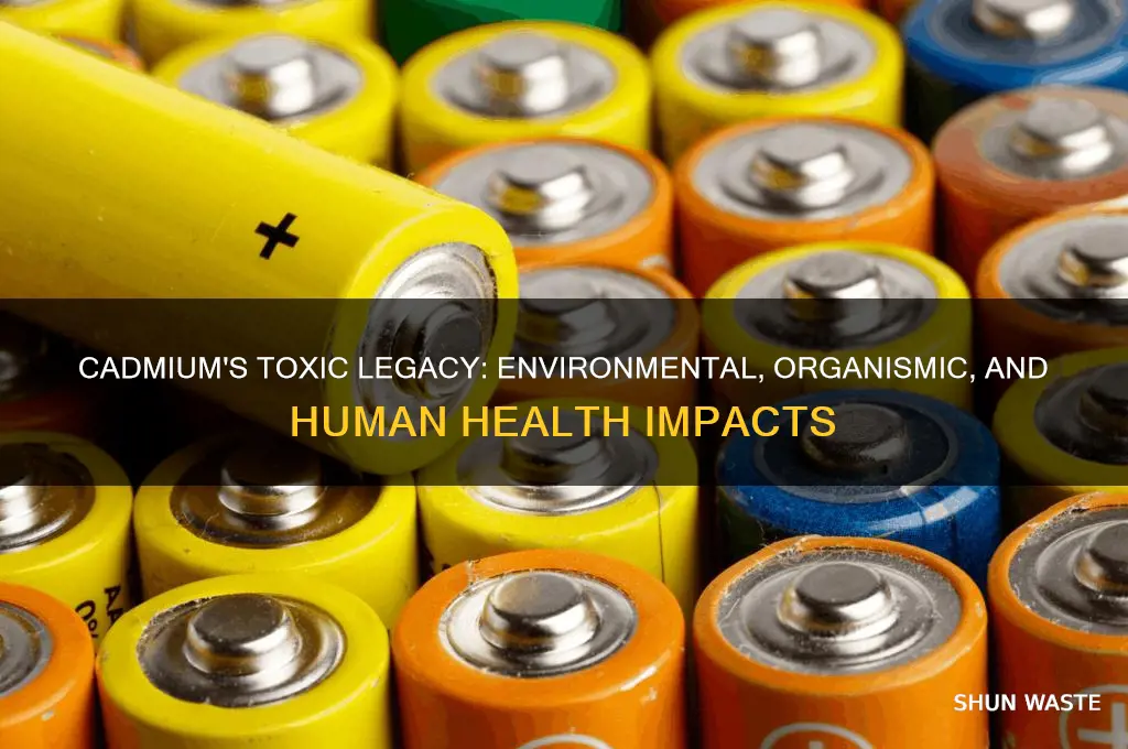Cadmium's Toxic Legacy: Environmental, Organismic, And Human Health ...
