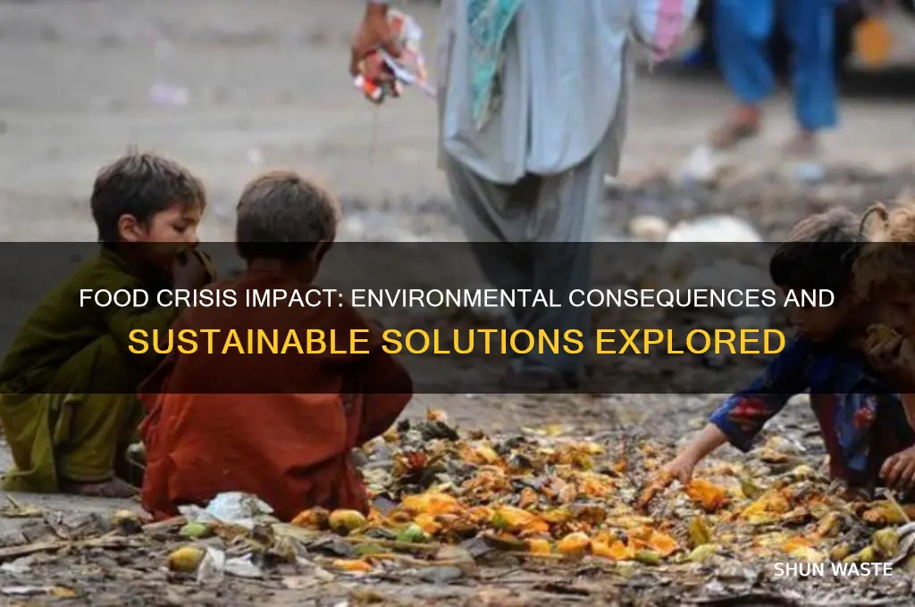 Food Crisis Impact: Environmental Consequences And Sustainable ...