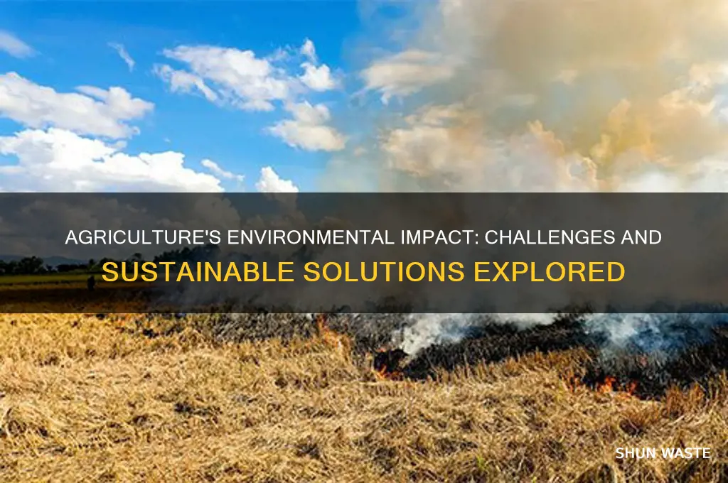 Agriculture's Environmental Impact: Challenges And Sustainable ...