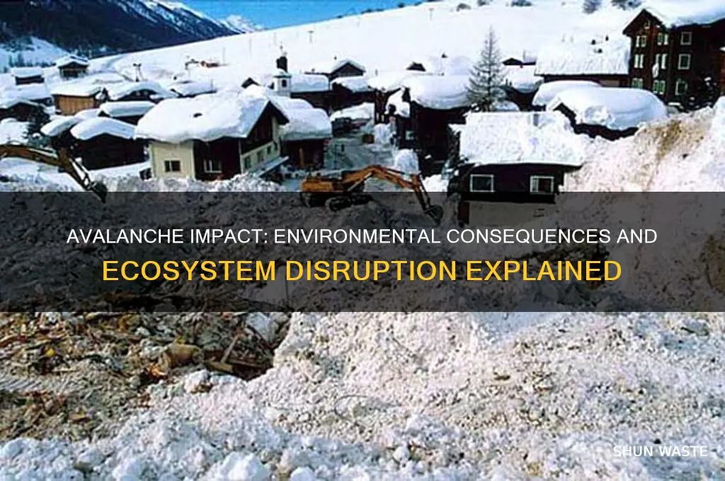 Avalanche Impact: Environmental Consequences And Ecosystem Disruption ...