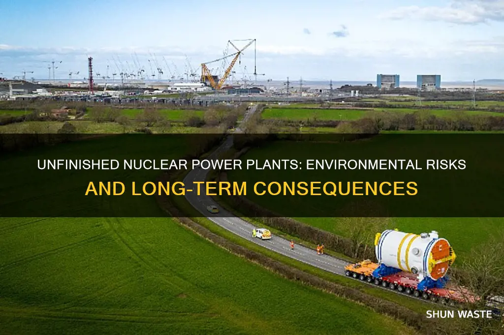 Unfinished Nuclear Power Plants: Environmental Risks And Long-Term ...