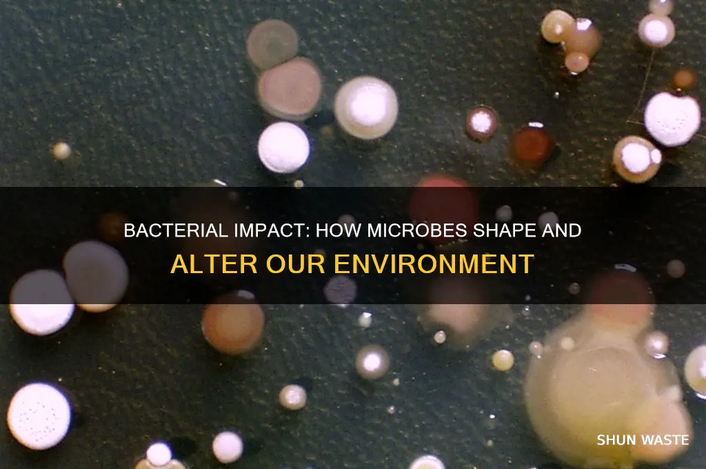 Bacterial Impact: How Microbes Shape And Alter Our Environment | ShunWaste