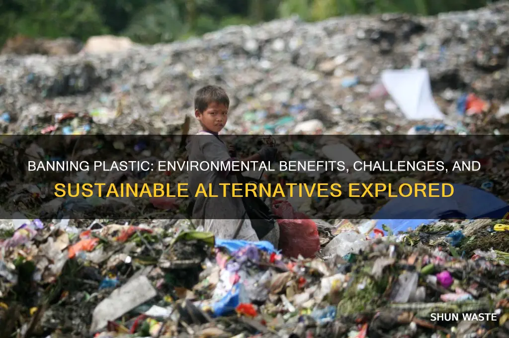 Banning Plastic: Environmental Benefits, Challenges, And Sustainable ...