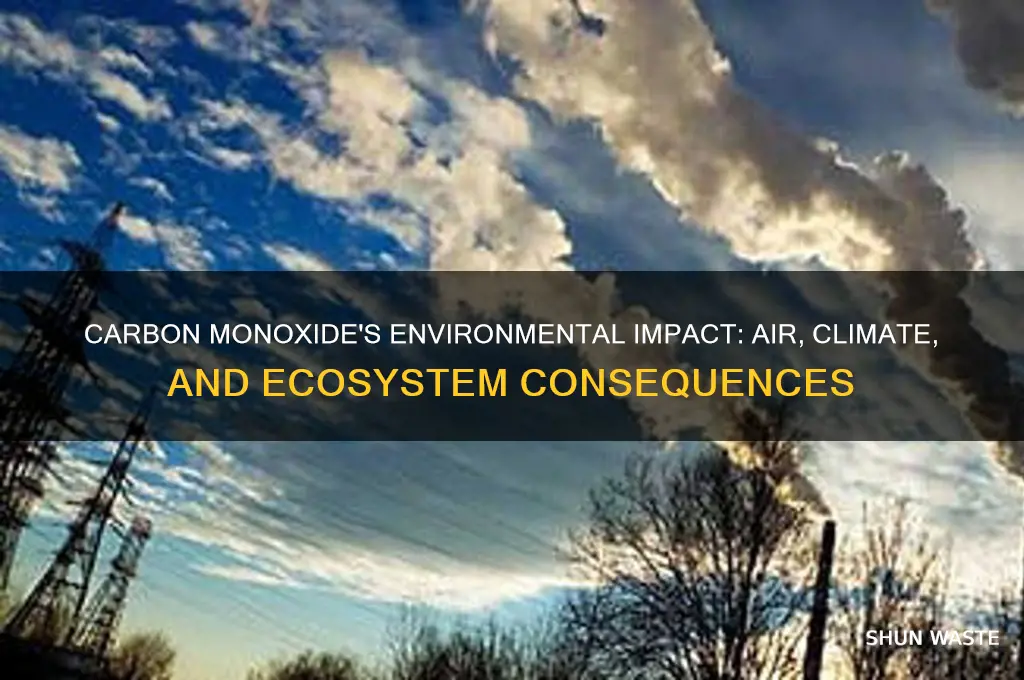 Carbon Monoxide's Environmental Impact: Air, Climate, And Ecosystem ...