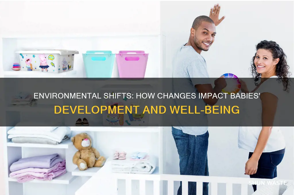 Environmental Shifts: How Changes Impact Babies' Development And Well ...