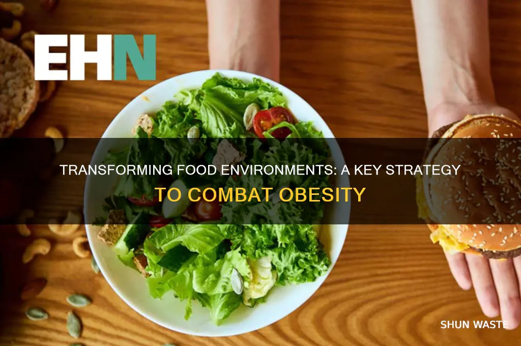 Transforming Food Environments: A Key Strategy To Combat Obesity ...