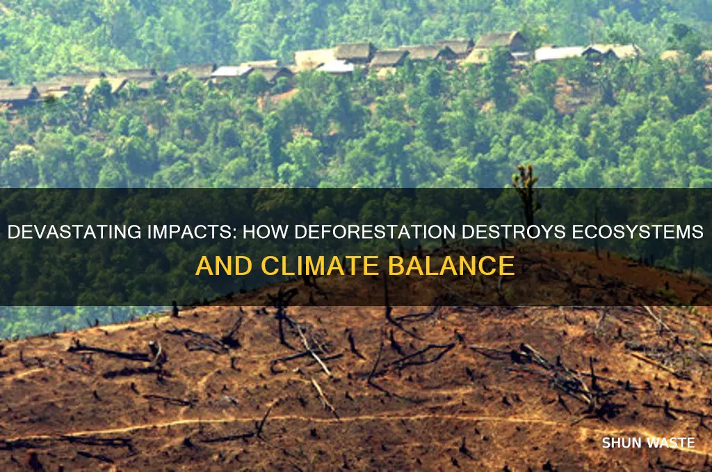 Devastating Impacts: How Deforestation Destroys Ecosystems And Climate ...
