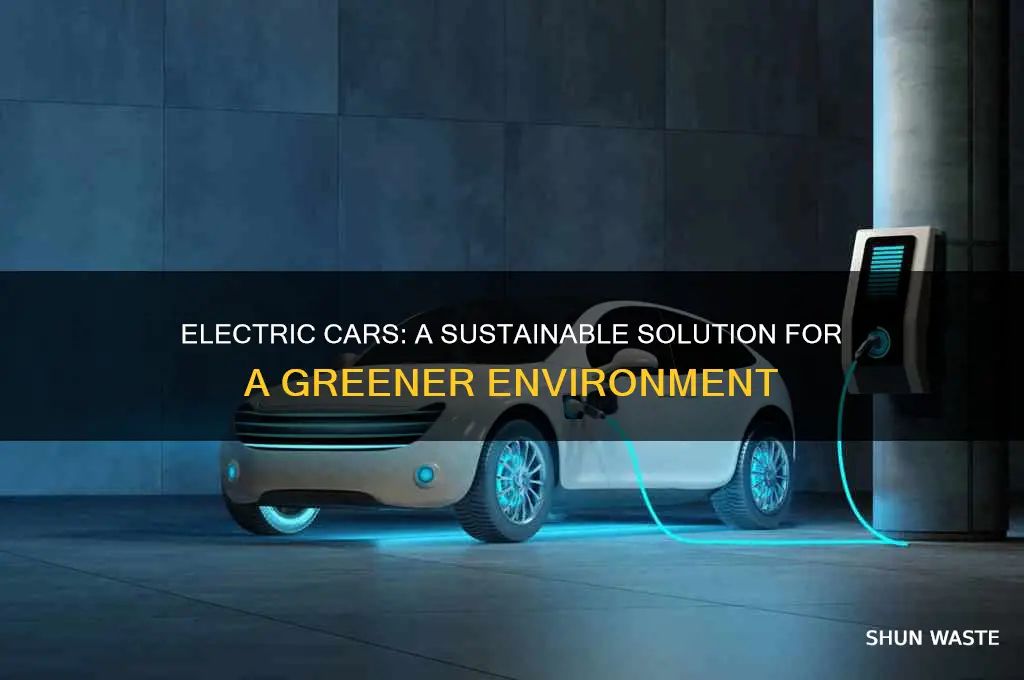 Electric Cars: A Sustainable Solution For A Greener Environment | ShunWaste