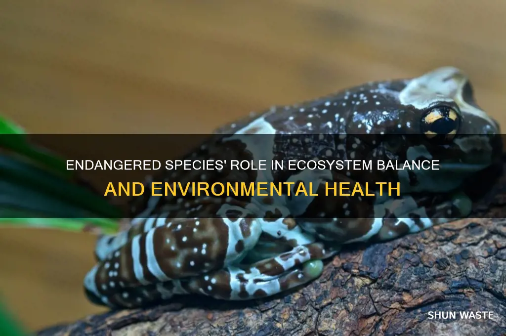 Endangered Species' Role In Ecosystem Balance And Environmental Health ...