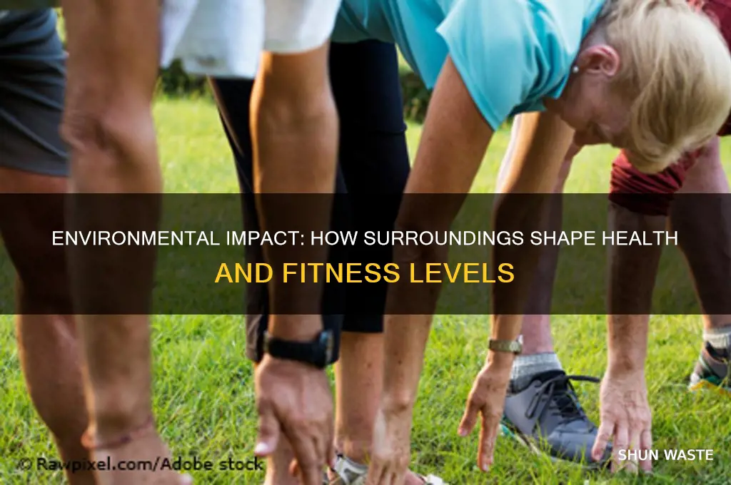 Environmental Impact: How Surroundings Shape Health And Fitness Levels ...