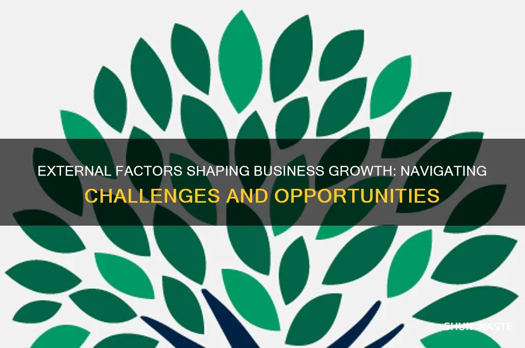 External Factors Shaping Business Growth: Navigating Challenges And ...